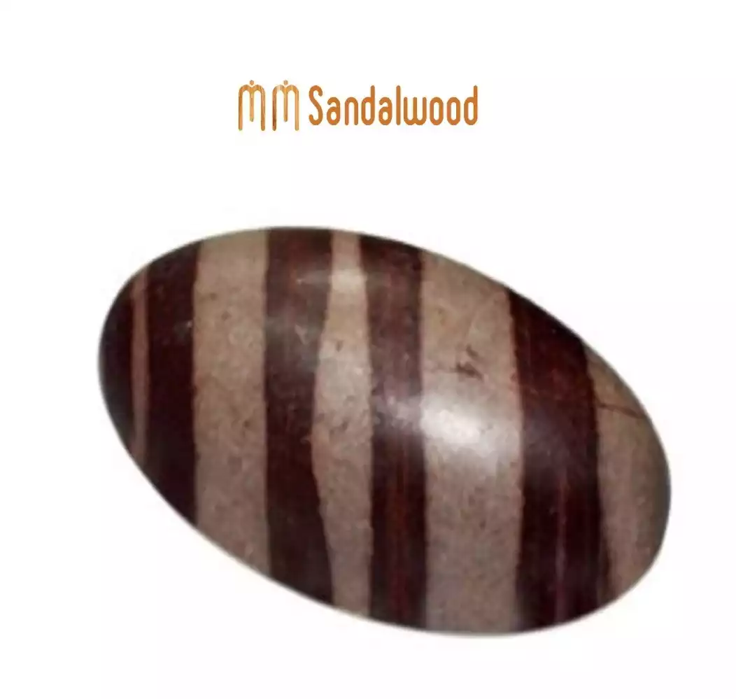 Eleven Mukhi Rudraksha | Gyaarah Mukhee rudraaksh | ग्यारह मुखी ...